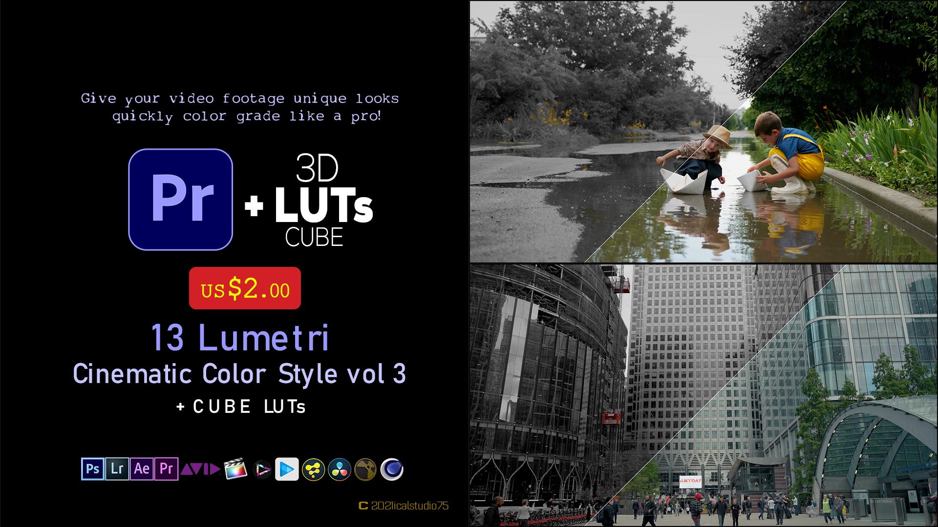 13 PremierePro Lumetri Cinematic Colour style_iS75_vol 3